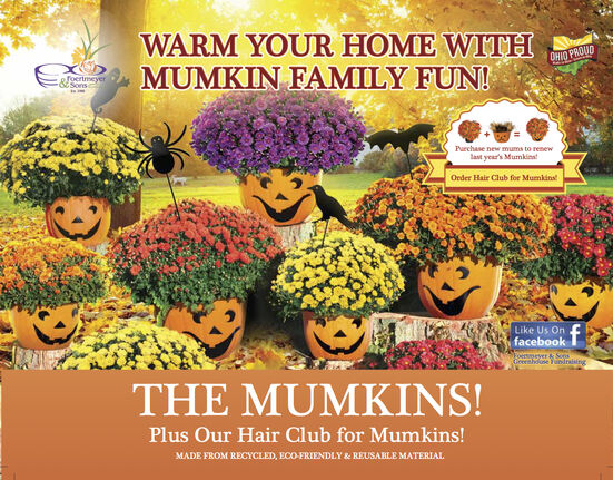 Fall Mumkins