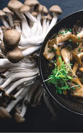 Alchemy Dining: Best dining at the Top Ashland, Oregon Restaurant