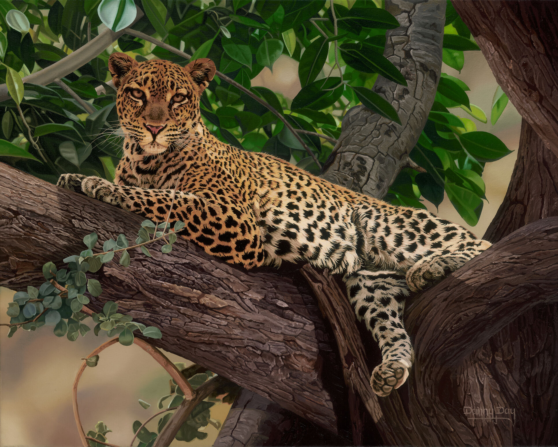 Lounging Leopard - oil painting by Danny Day