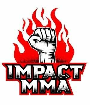 Impact Martial Arts - Austin Class Schedule