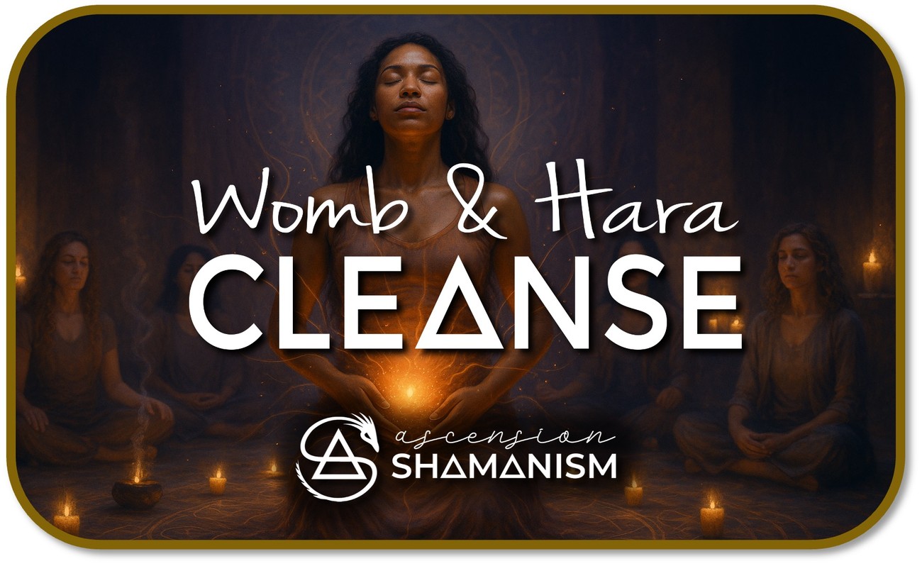 Womb & Hara Cleanse
