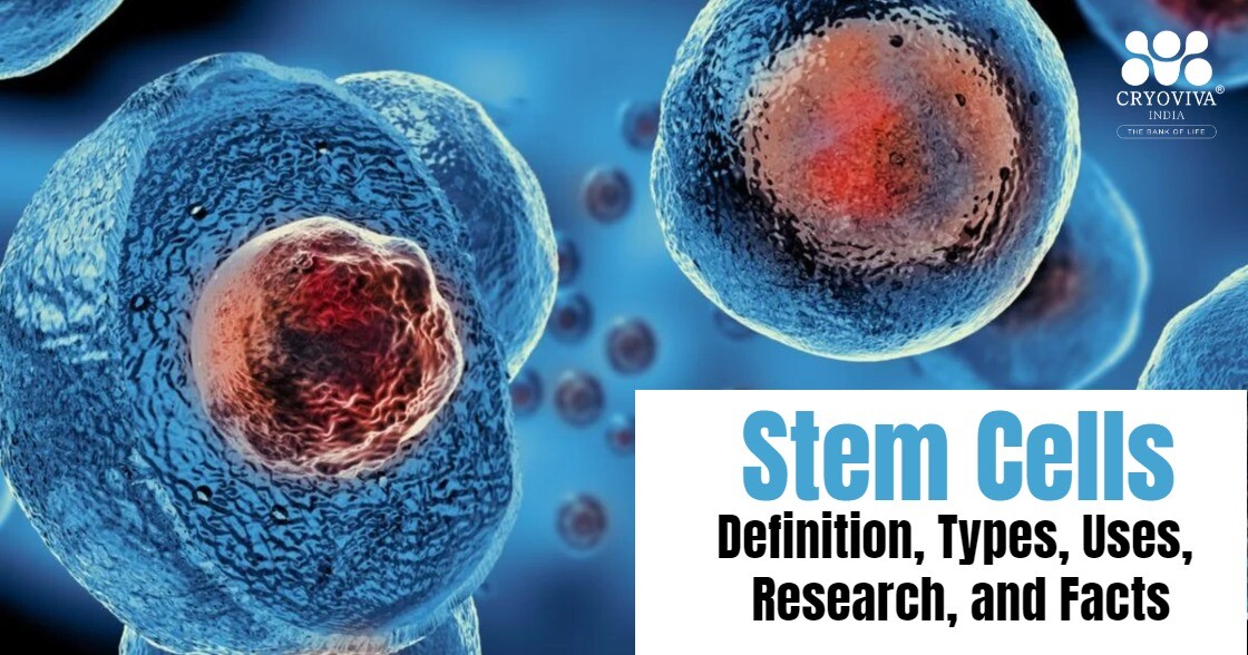 Stem Cells - Definition, Types, Uses, Research, and Facts - Cryoviva