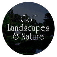 Sports Art Gallery - oil paintings by Danny Day