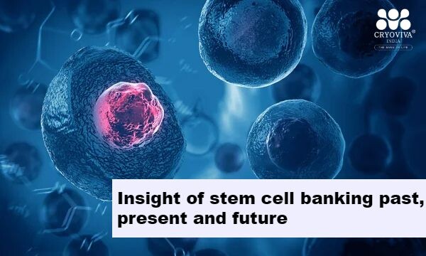 Insight of stem cell banking past, present and future - Cryoviva