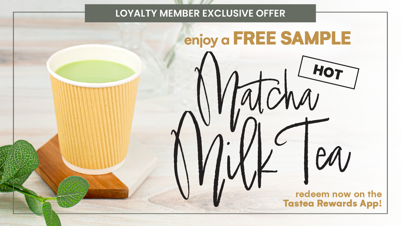 Get Toasty at Tastea with our Hot Matcha Milk Tea! - Tastea Blog