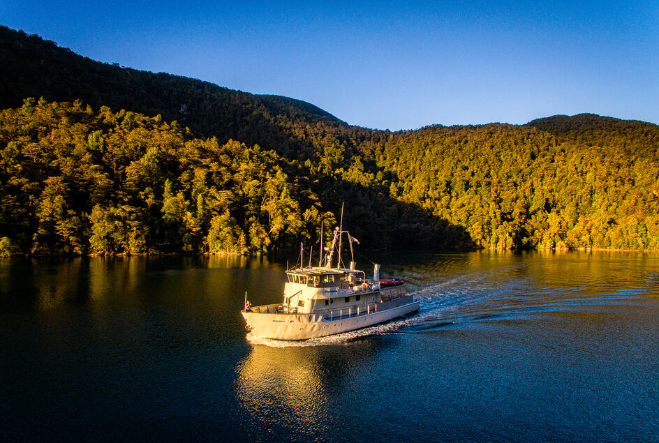 Pure Salt Charters Experiences on board the Flightless