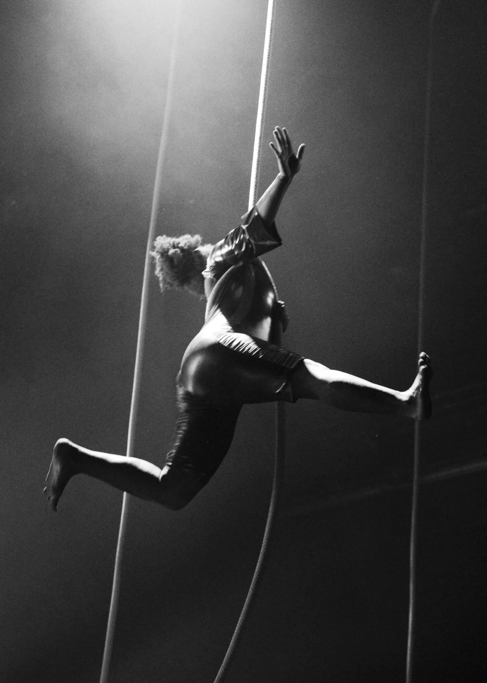 Home [www.taylormac.org]