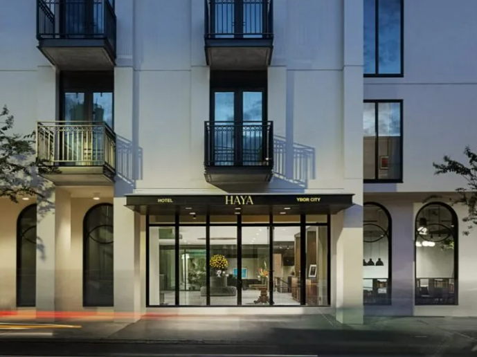 The Rooted Door - Secret Spaces