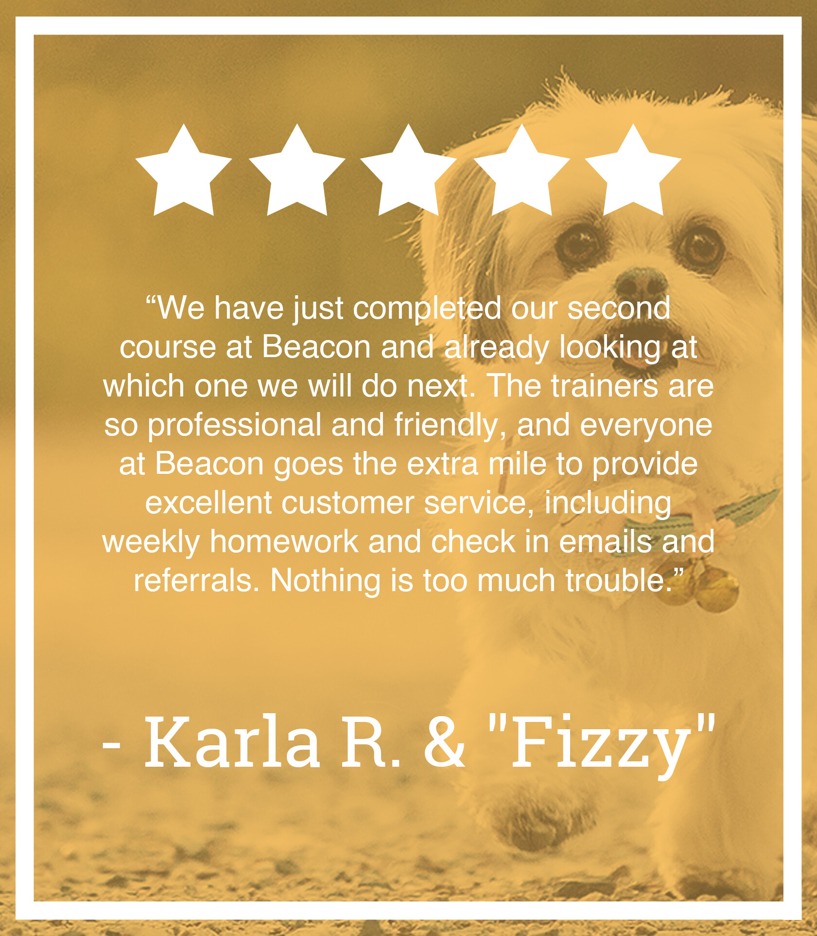 Beacon Dog Training | Gold Coast Dog Trainer
