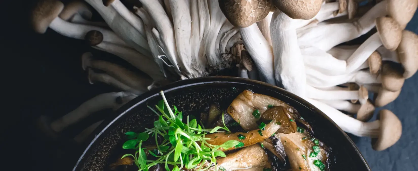 Alchemy Dining: Best dining at the Top Ashland, Oregon Restaurant