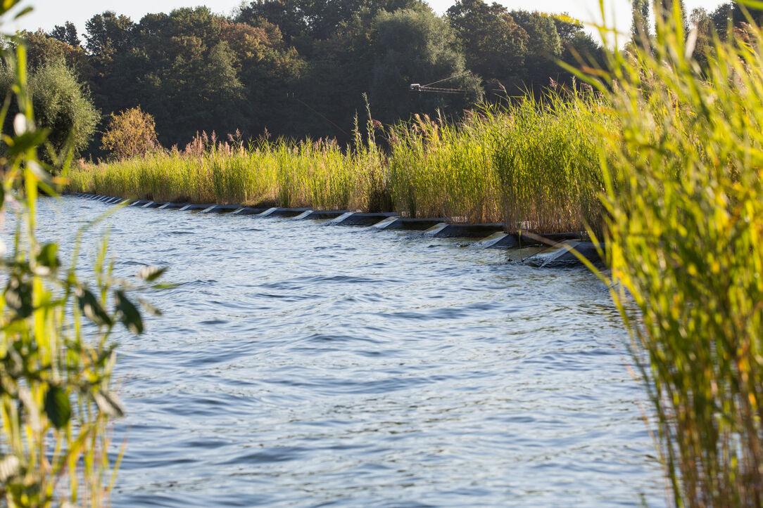Floating reeds and wavebreakers