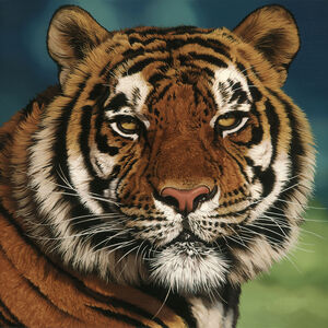 Art For Sale - Limited Edition Giclees by Danny Day