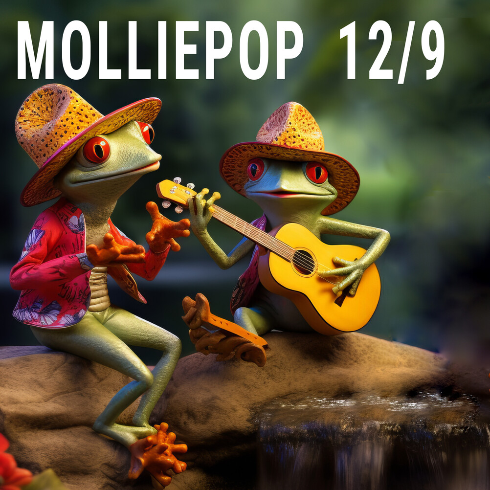 The Groggy Frogg - Best Wings in Southington