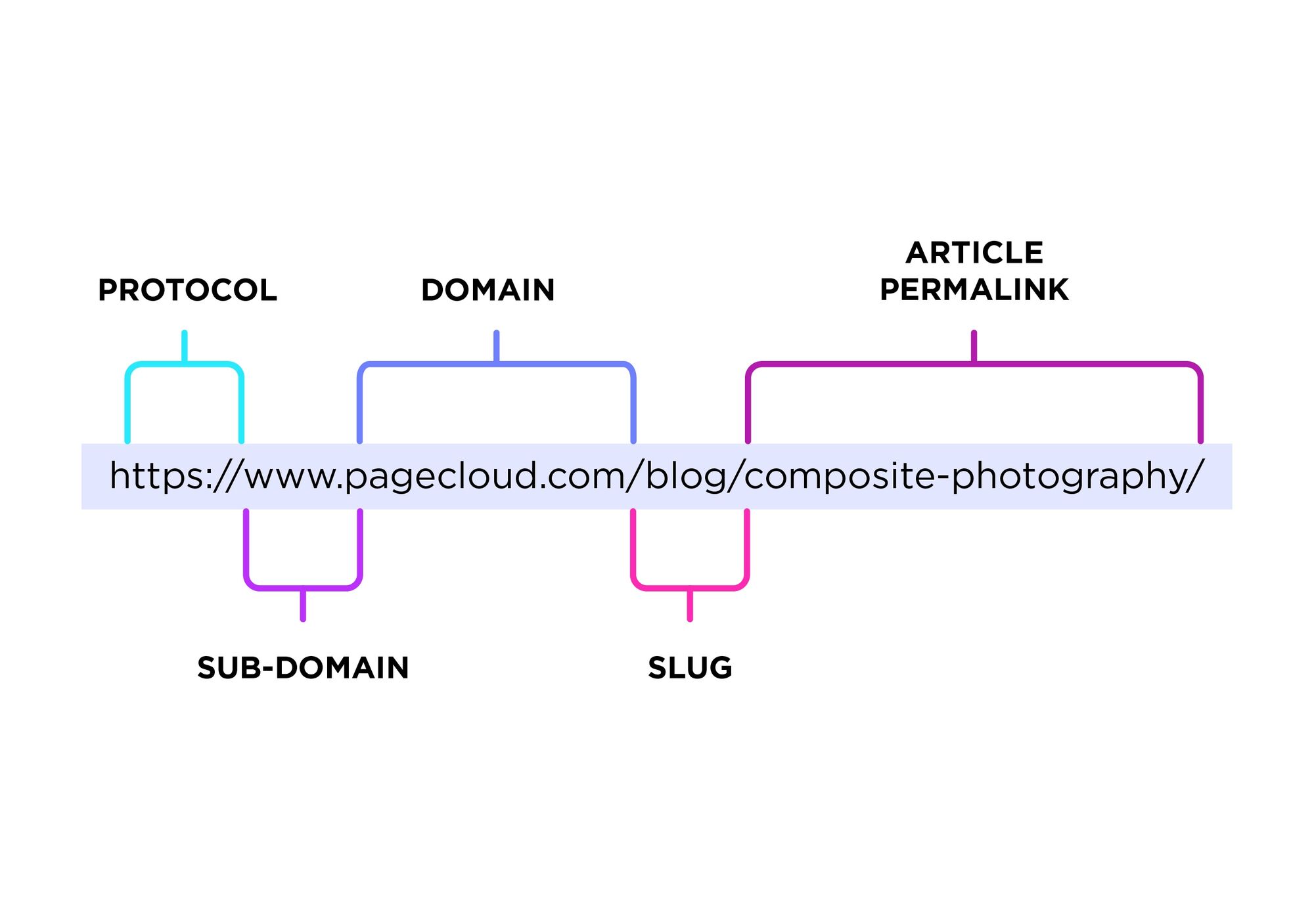 Web Terminology 101: What You Need to Know [with Illustrations ...