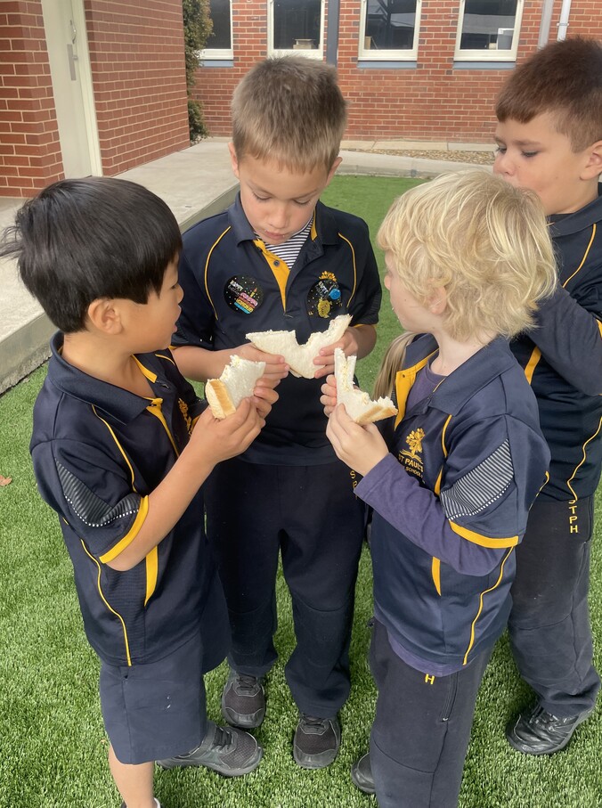 Newsletter Term 2 Week 10 2024