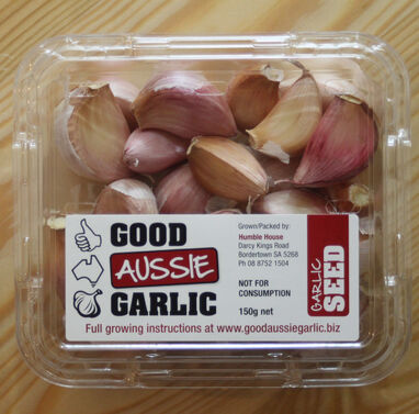 Grown at home garlic!