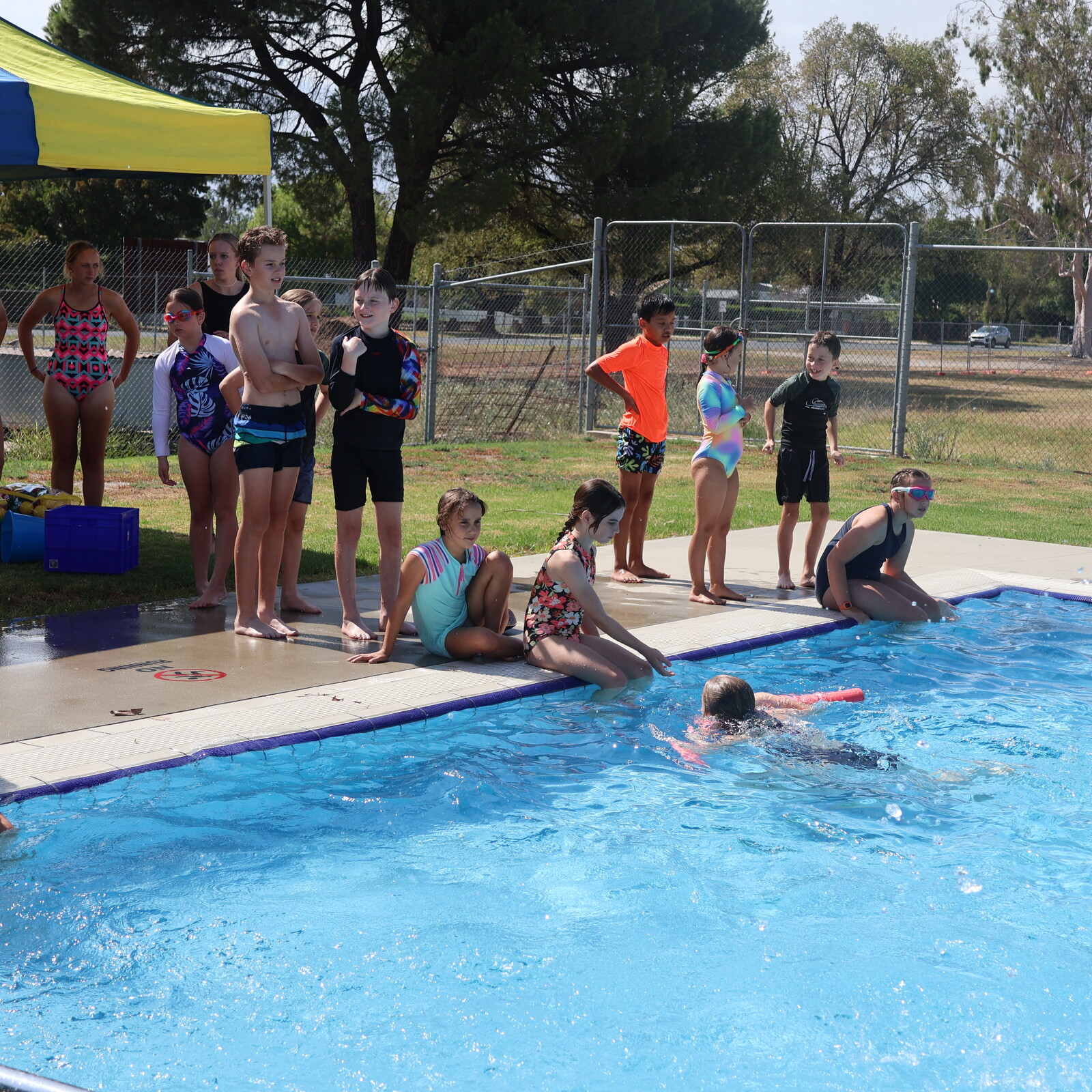 Newsletter Term 1 week 2 2024