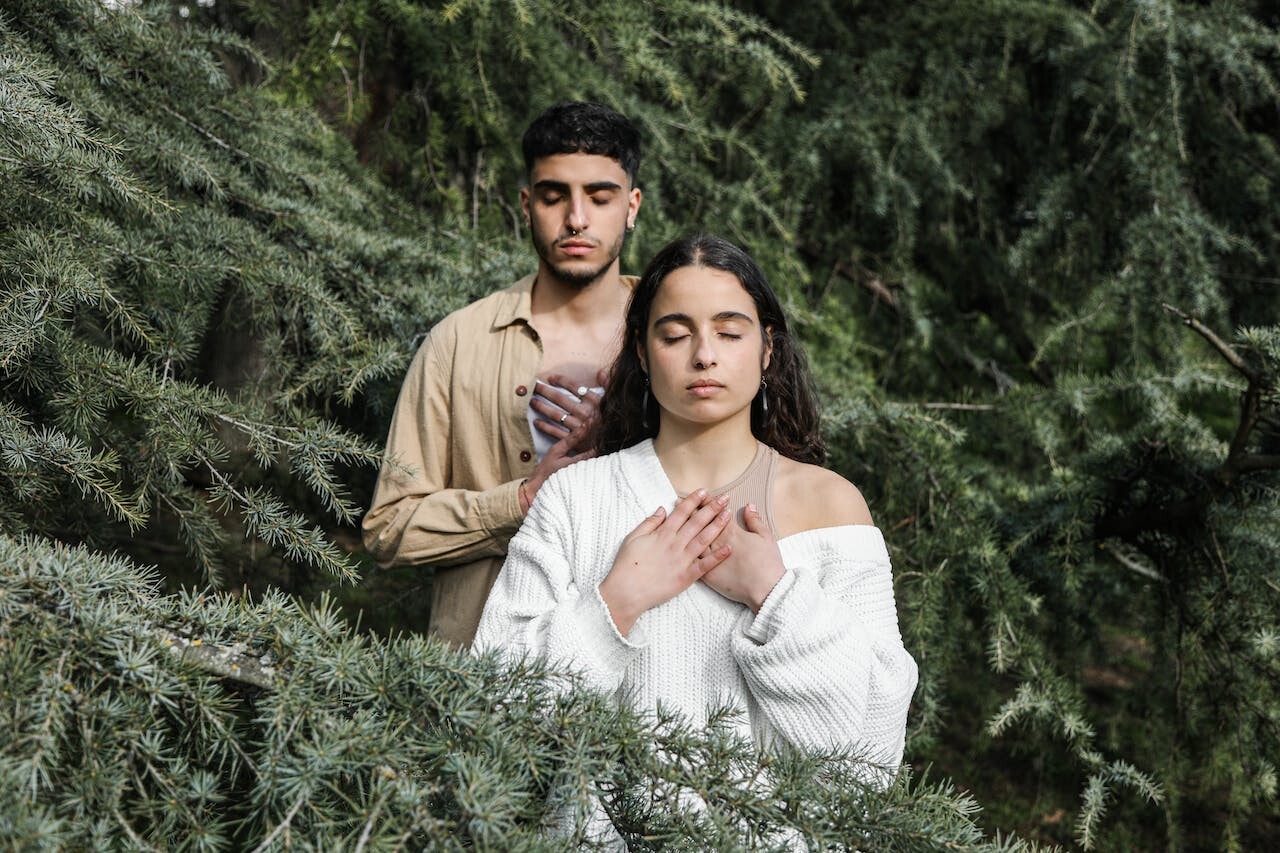 Consciousness as a Meta-Capability - The Meaning of Life Blog