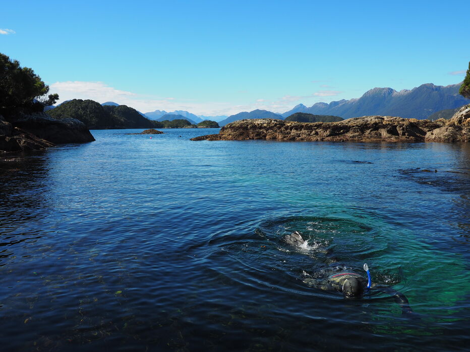 Pure Salt Charters Experiences on board the Flightless