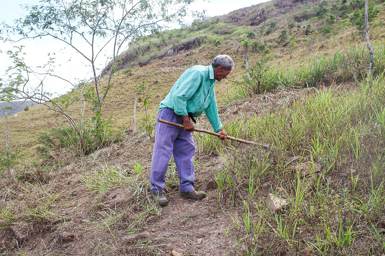 Project Brazil - Nordesta Reforestation