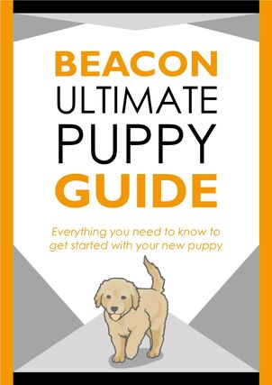 That Dog Geek | Beacon Dog Training