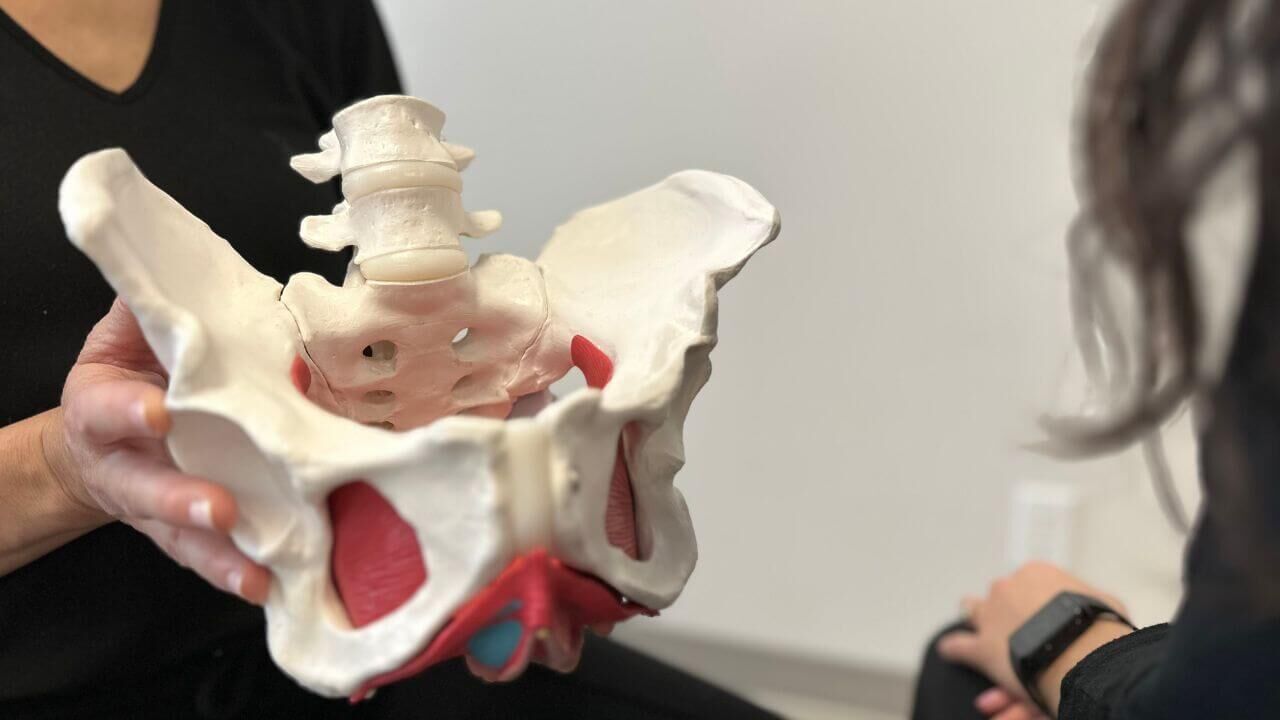Pelvic Floor Physiotherapy Downtown Ottawa | MOOV Physiotherapy & Wellness