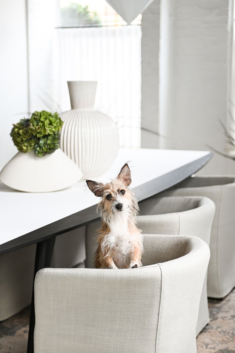 Home [thekentvan.com]