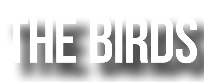 The Birds
