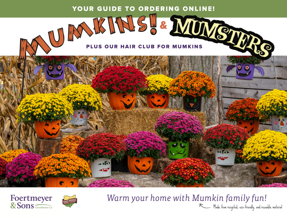 Fall Mumkins & Mumsters