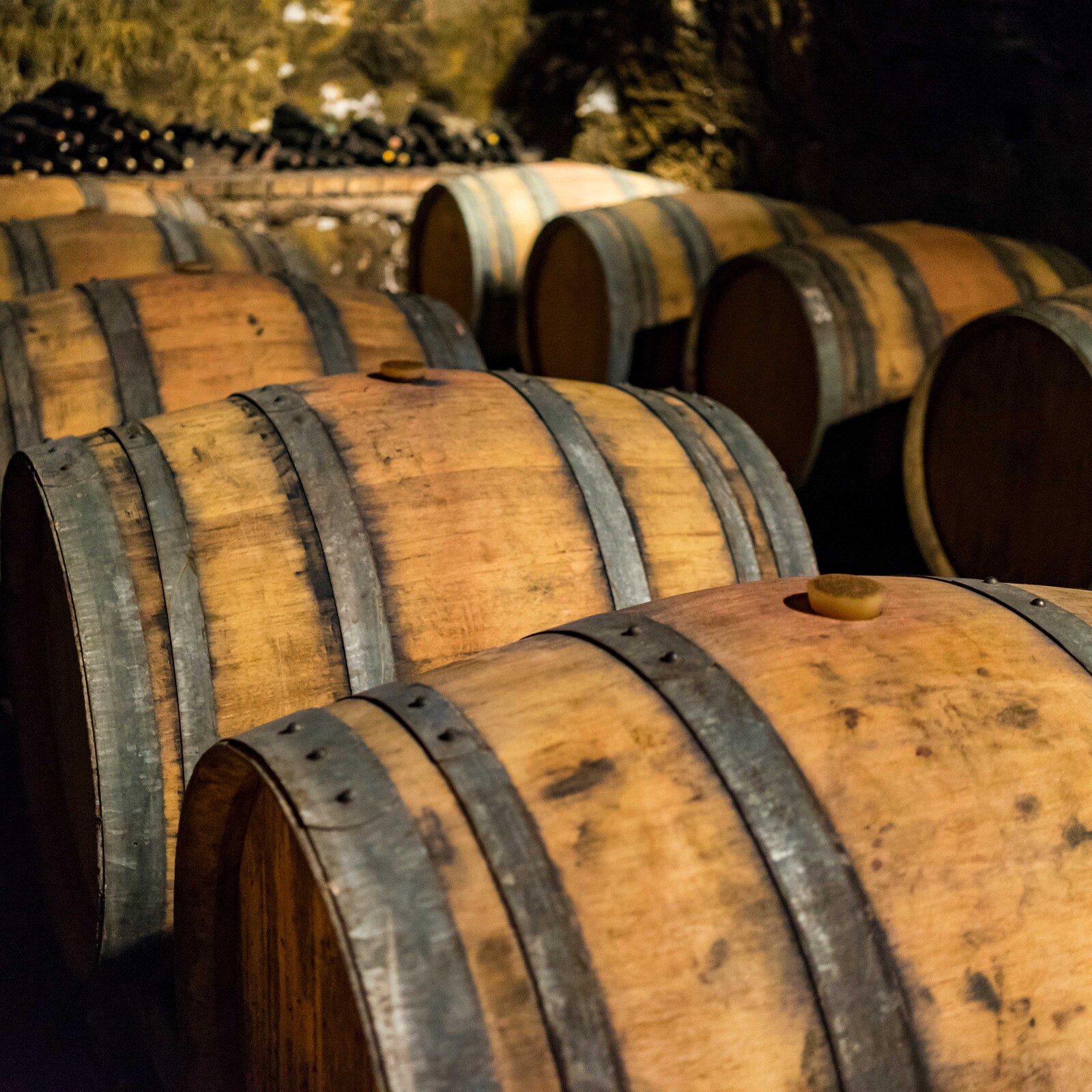 Used Oak Barrels for Aging & Finishing | OAKBARRELS.SHOP