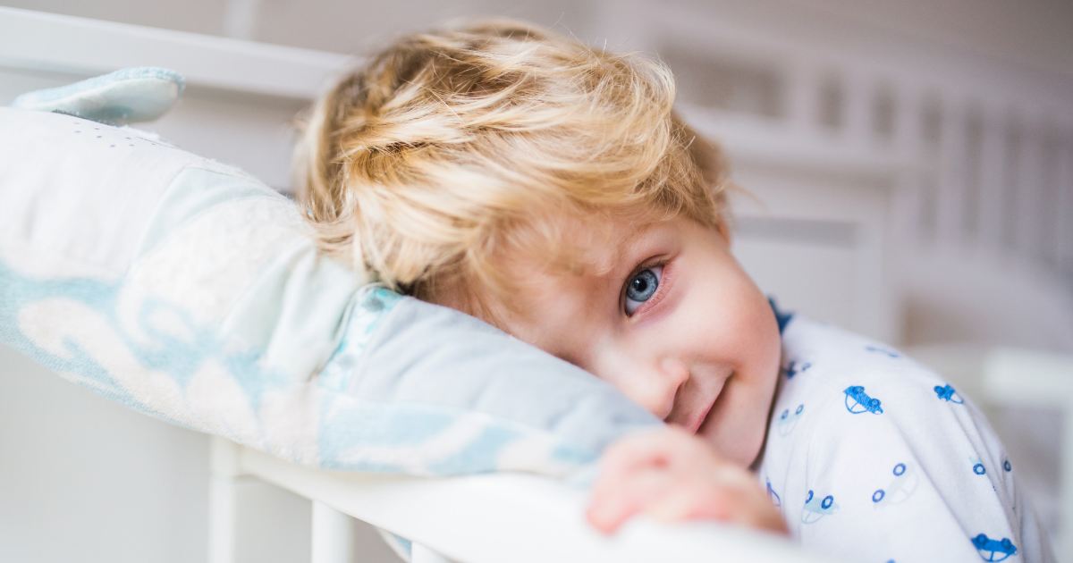 Essential Napping Guides