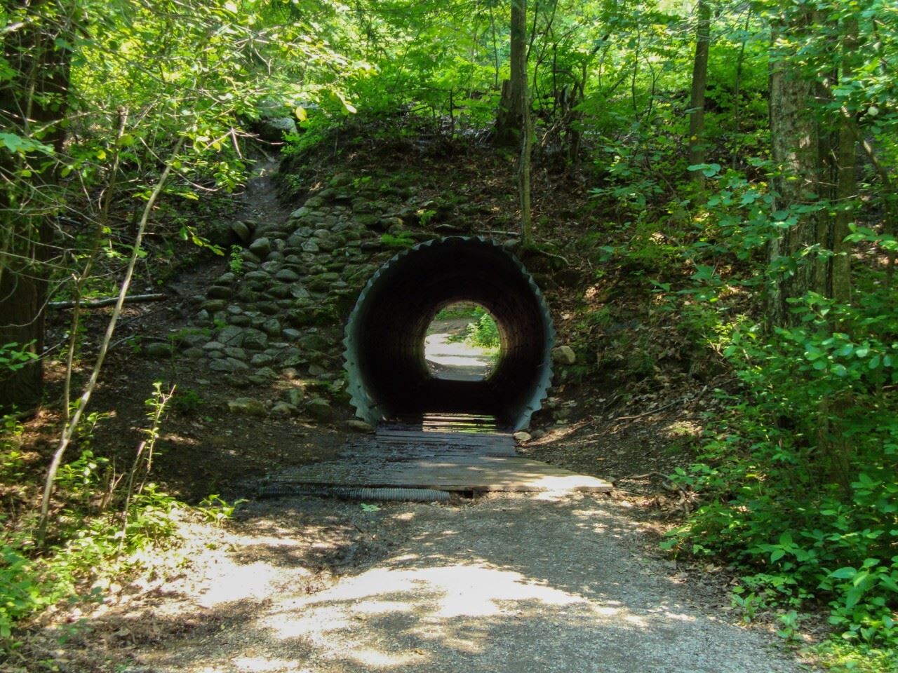 Best Hiking Trails to See Fall Colours in Gatineau Park - Rhiannon ...