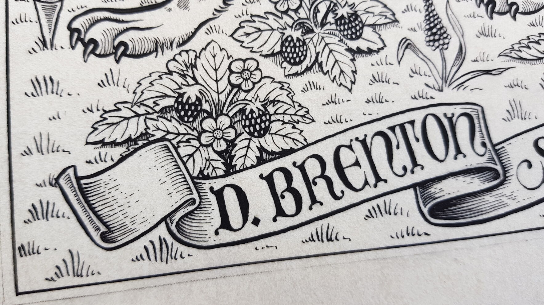 Heraldic bookplate featuring the arms of Mr Brenton Simons
