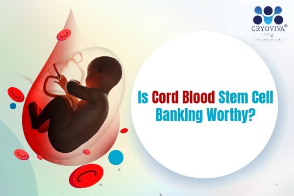 Is Cord Blood Stem Cell Banking Worthy? - cryoviva Blog
