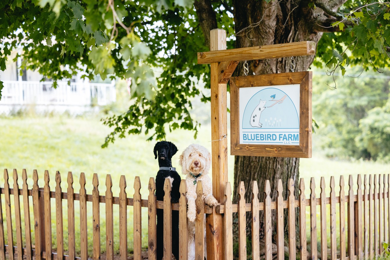About - Bluebird Farm CT - Rustic Wedding Venue