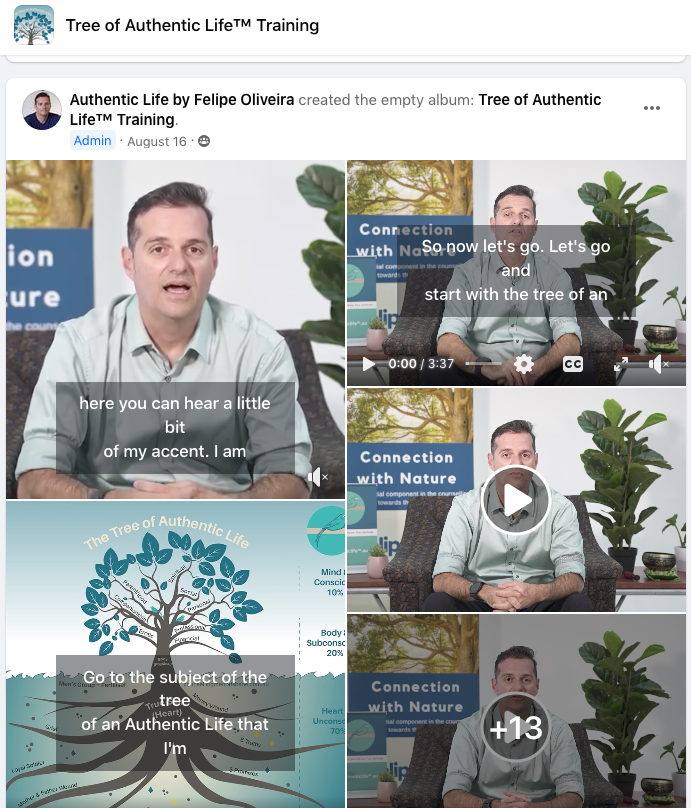 The Five Masculine Themes of the Authentic Life™