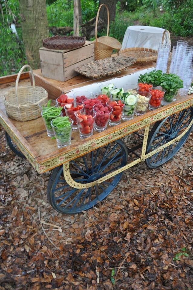 The Rooted Door - Stories from the Farm