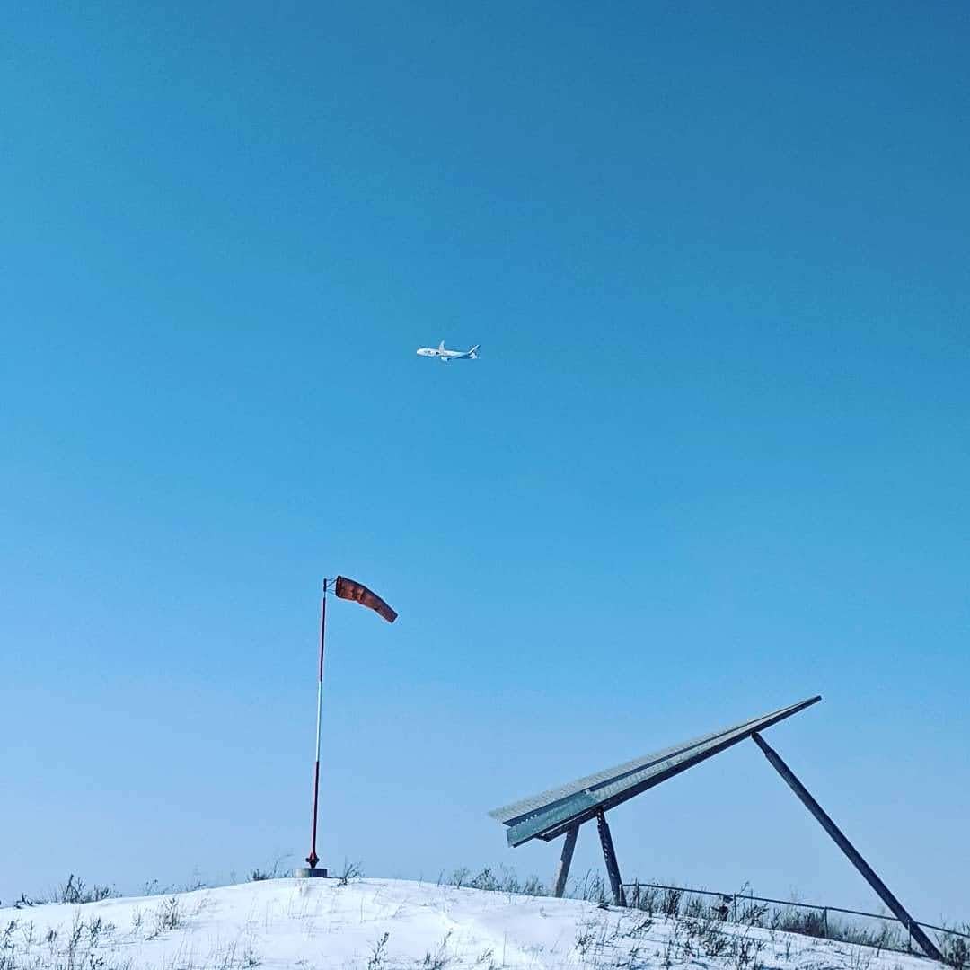 Max Ward Memorial Park (YYZ) - Suitcase Savvy Blog