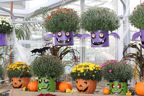 Fall Mumkins