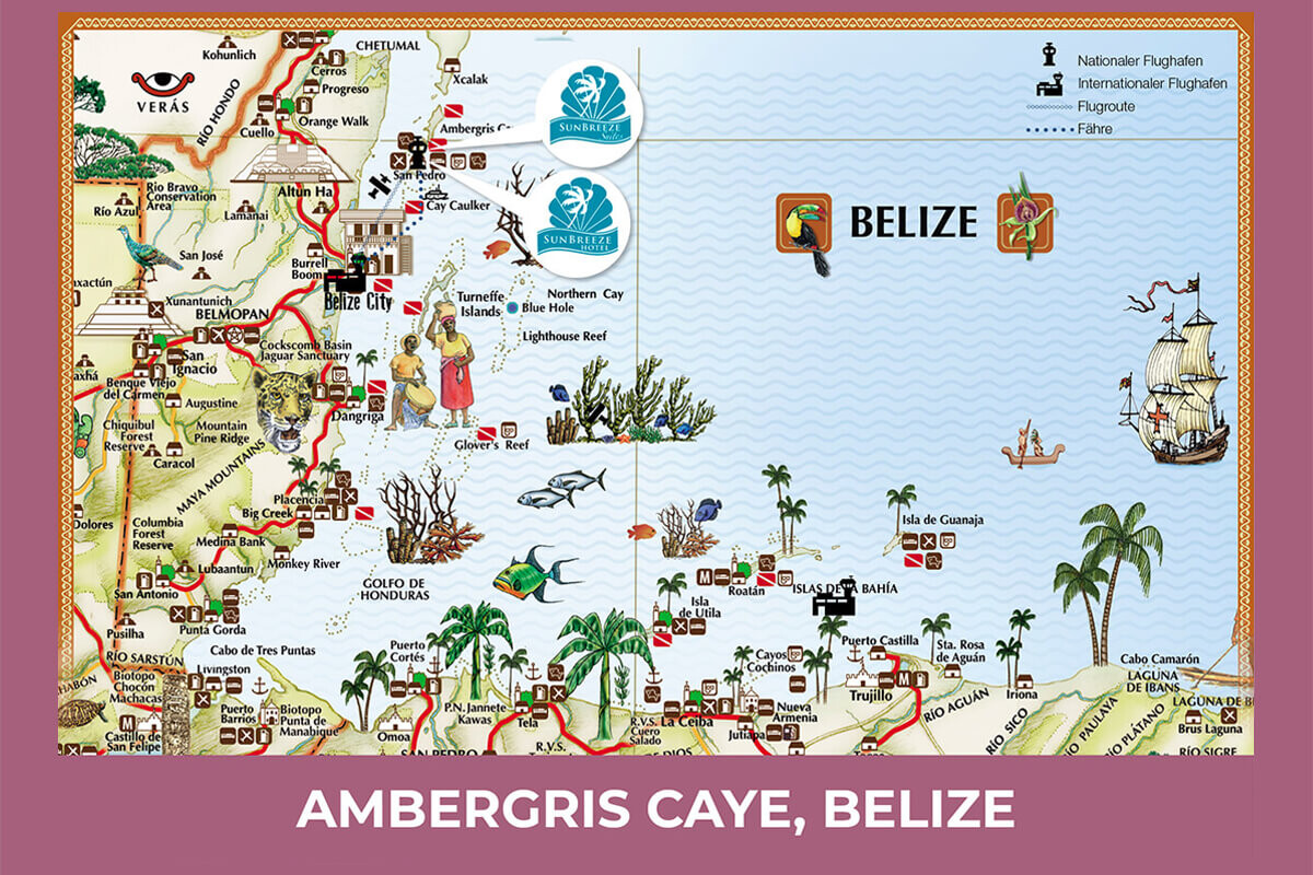 SunBreeze Hotel Ambergris Caye: Diving Paradise & Pure Relaxation in ...