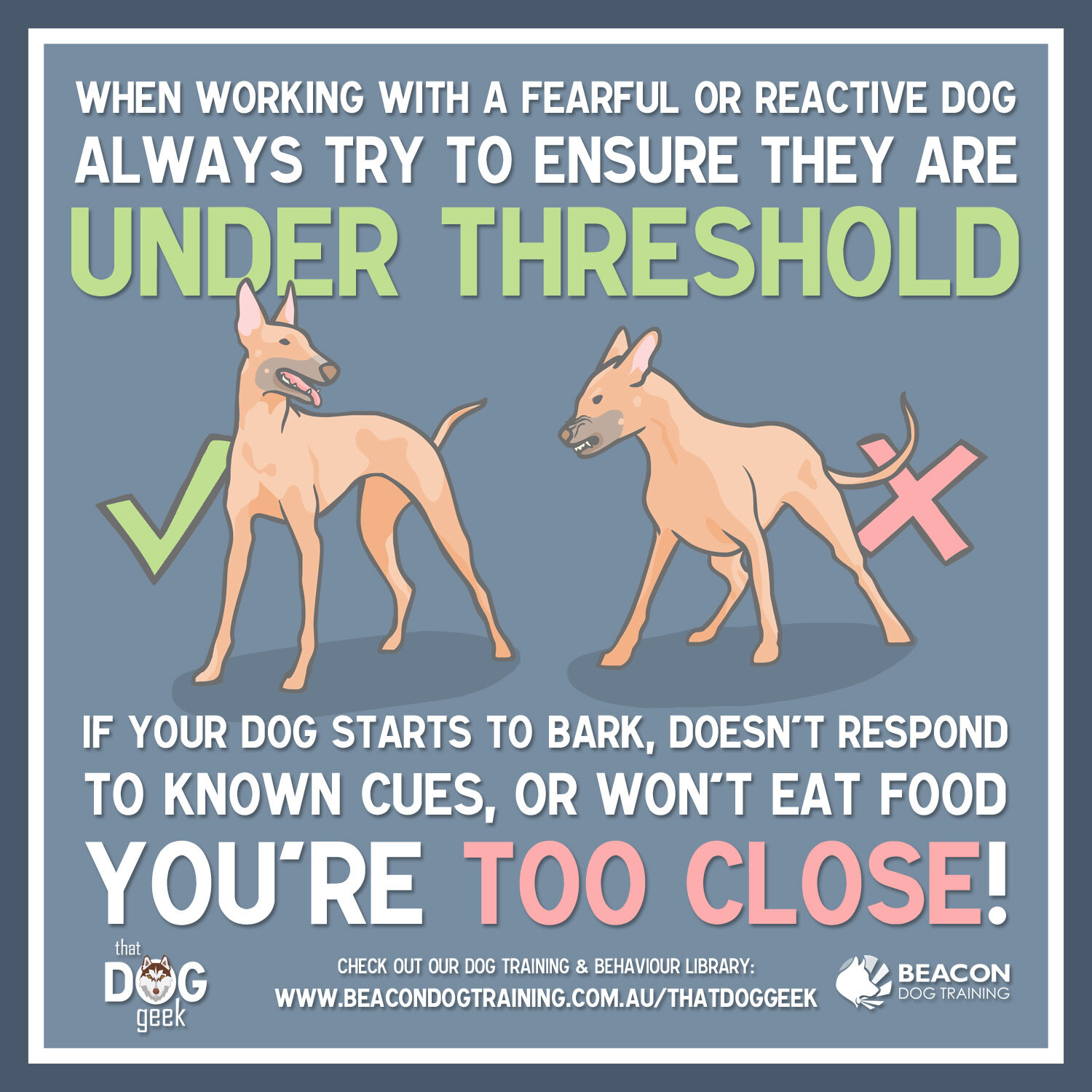 Working Under Threshold - Using Treats To Help Reactivity - That Dog ...