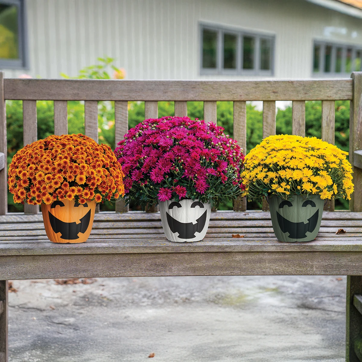 Best Flower Fundraiser | Foertmeyer & Sons Greenhouse