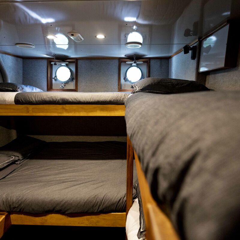 Start you Fiordland adventure with Pure Salt on board the Flightless ...